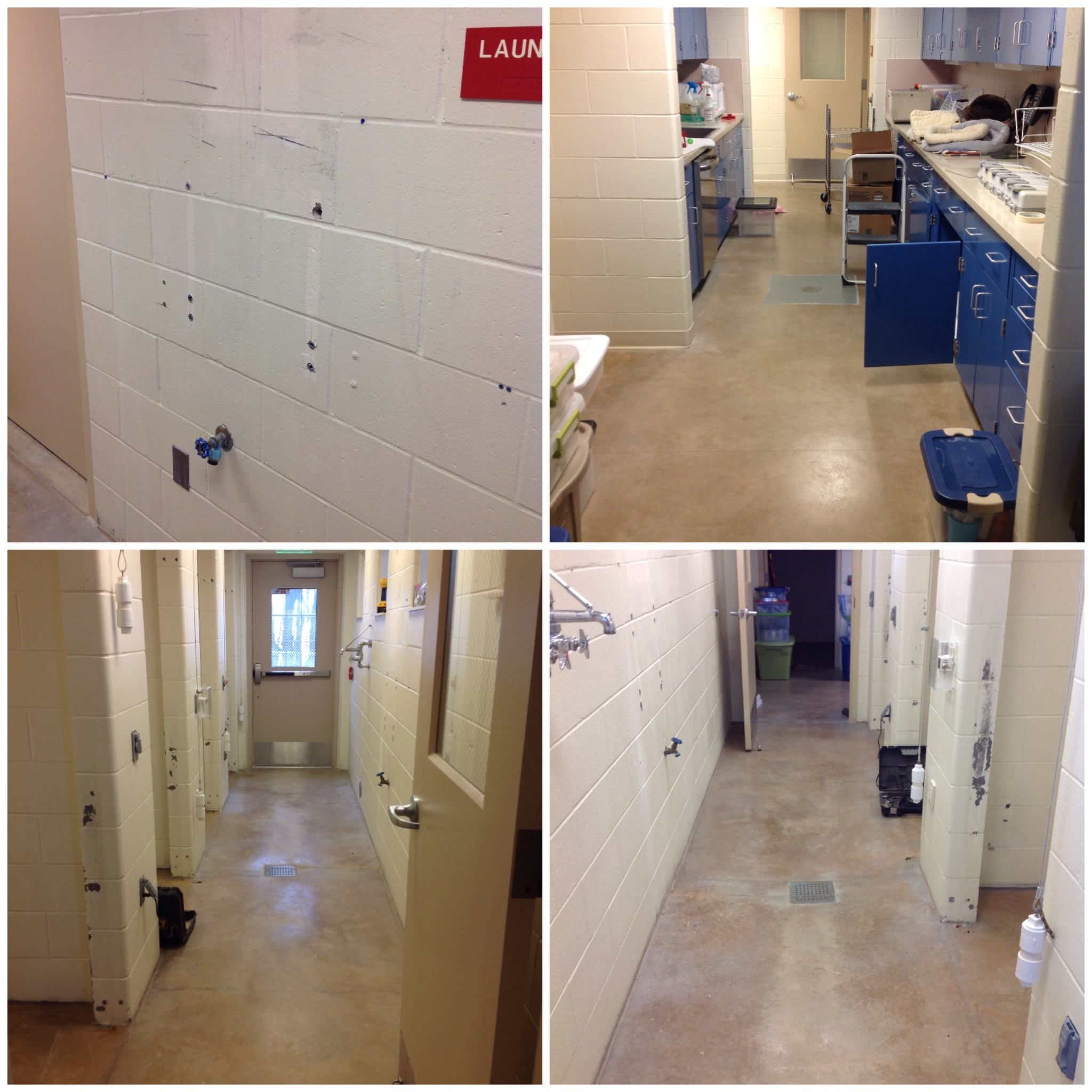 Shelter News – Bellwether Harbor