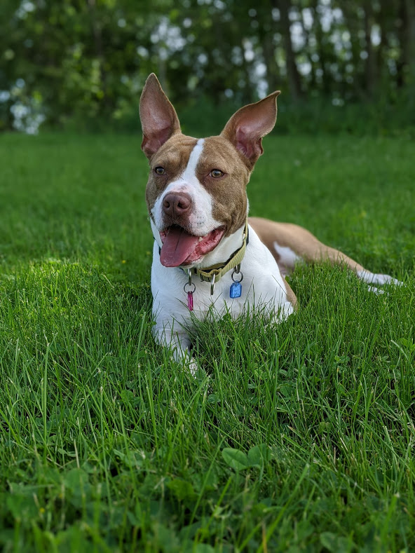 About Clyde – Bellwether Harbor