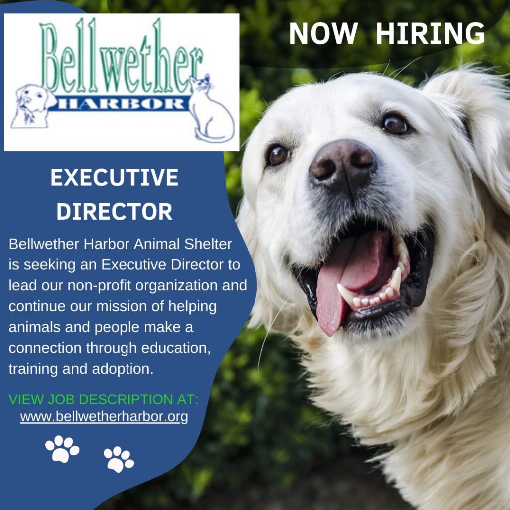 Bellwether Harbor – Helping Animals and People make a connection ...