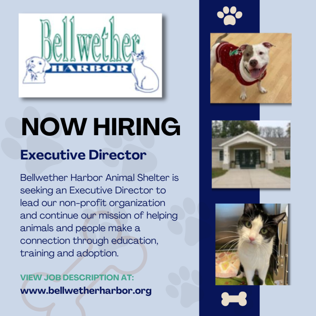 Bellwether Harbor – Helping Animals and People make a connection ...