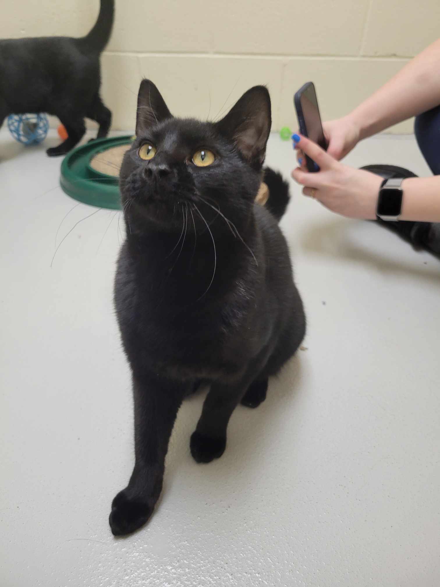 Midnight – Bellwether Harbor